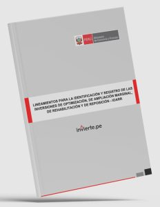 🥇Lineamientos para la identificación y registro de IOARR® PDF